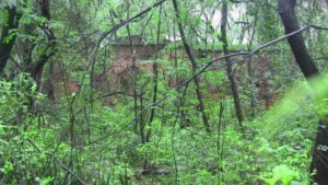 Malcha Mahal, The Mystery behind India's Most Haunted Mahal Revealed!