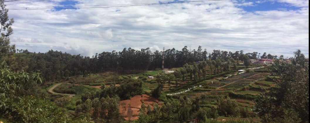15 Best Places To Visit In Ooty in 2 days in 2020 For A Perfect Weekend