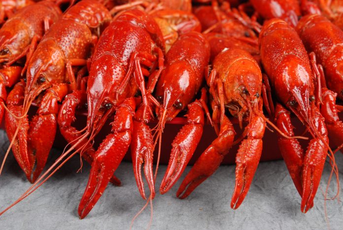 50 Texas Food Dishes & Drinks That Are A Must Try In Life | Texan Food